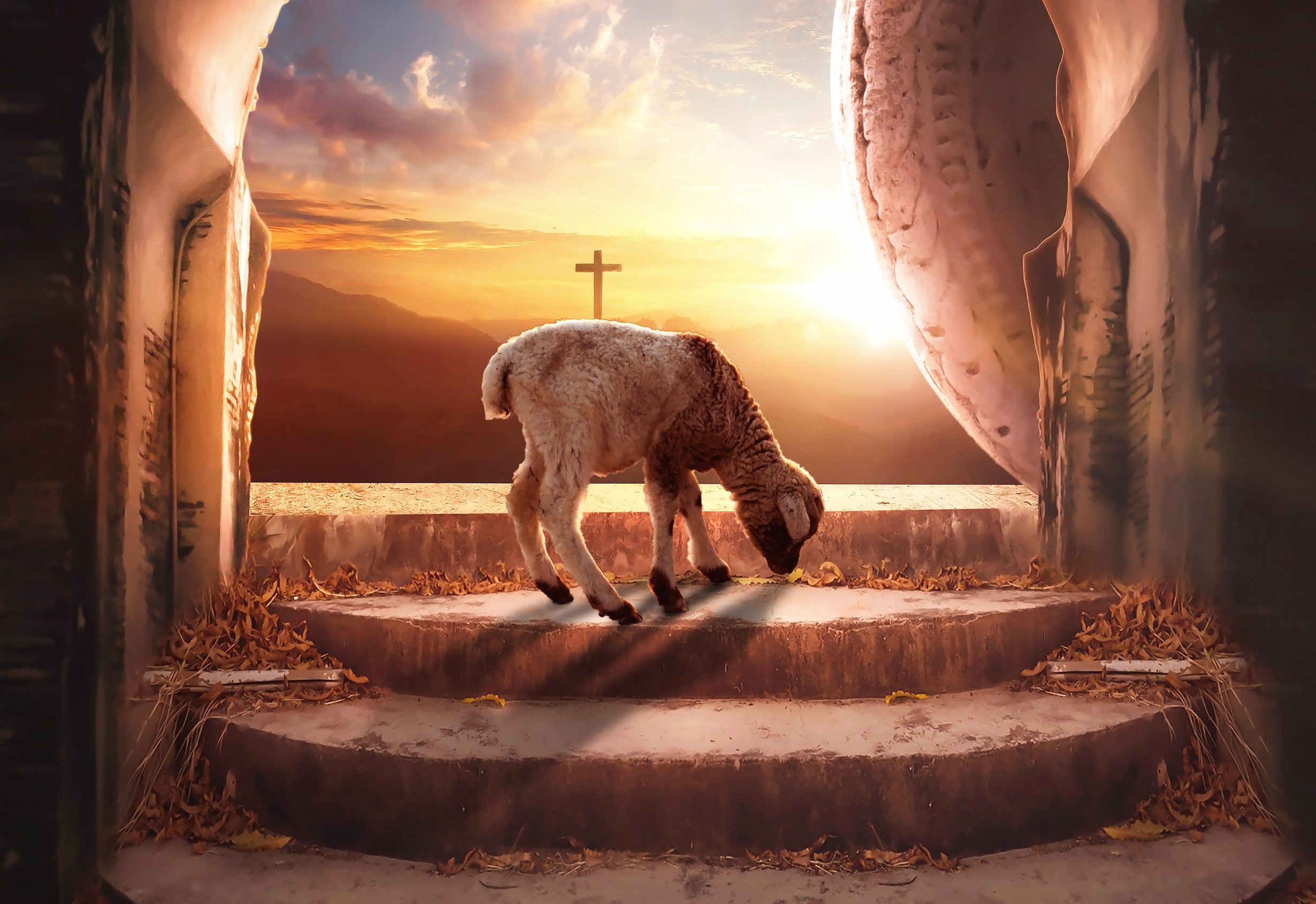 Rising Lamb - Grace Communion International